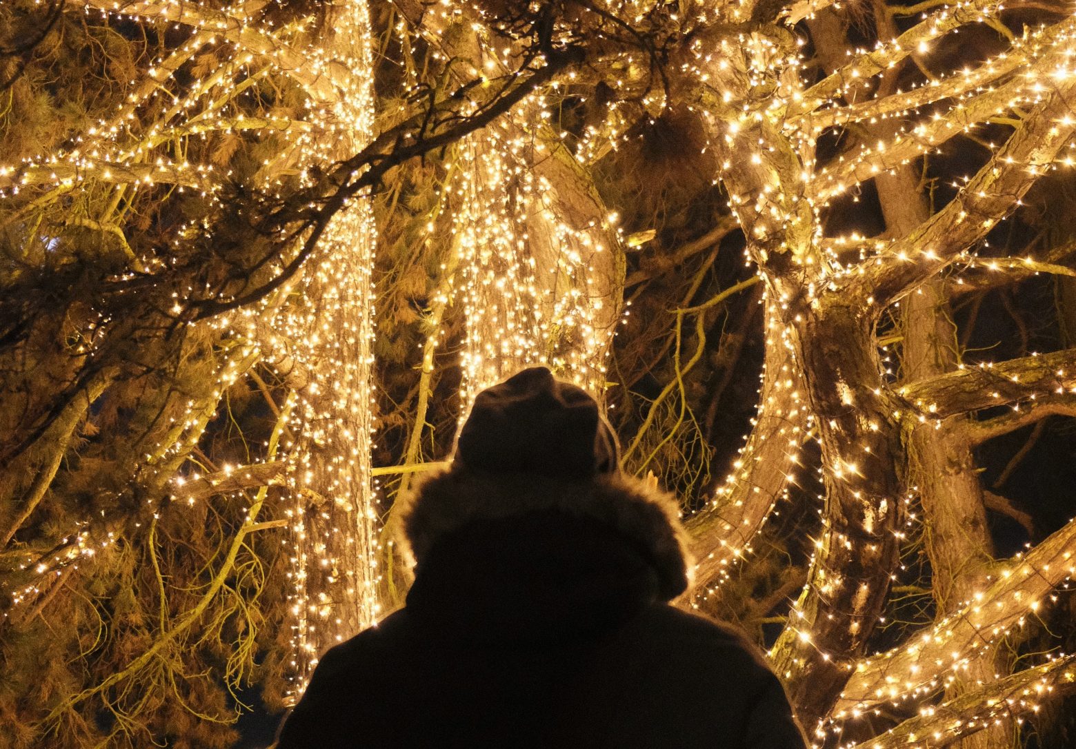 Winter Illuminations To Visit In Japan RADARLIST